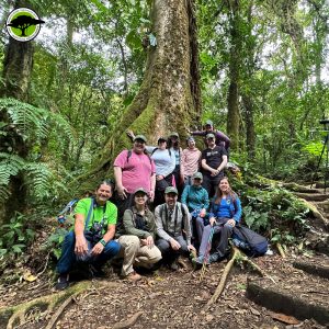 More photos of this internship may be found here . Image courtesy of ...